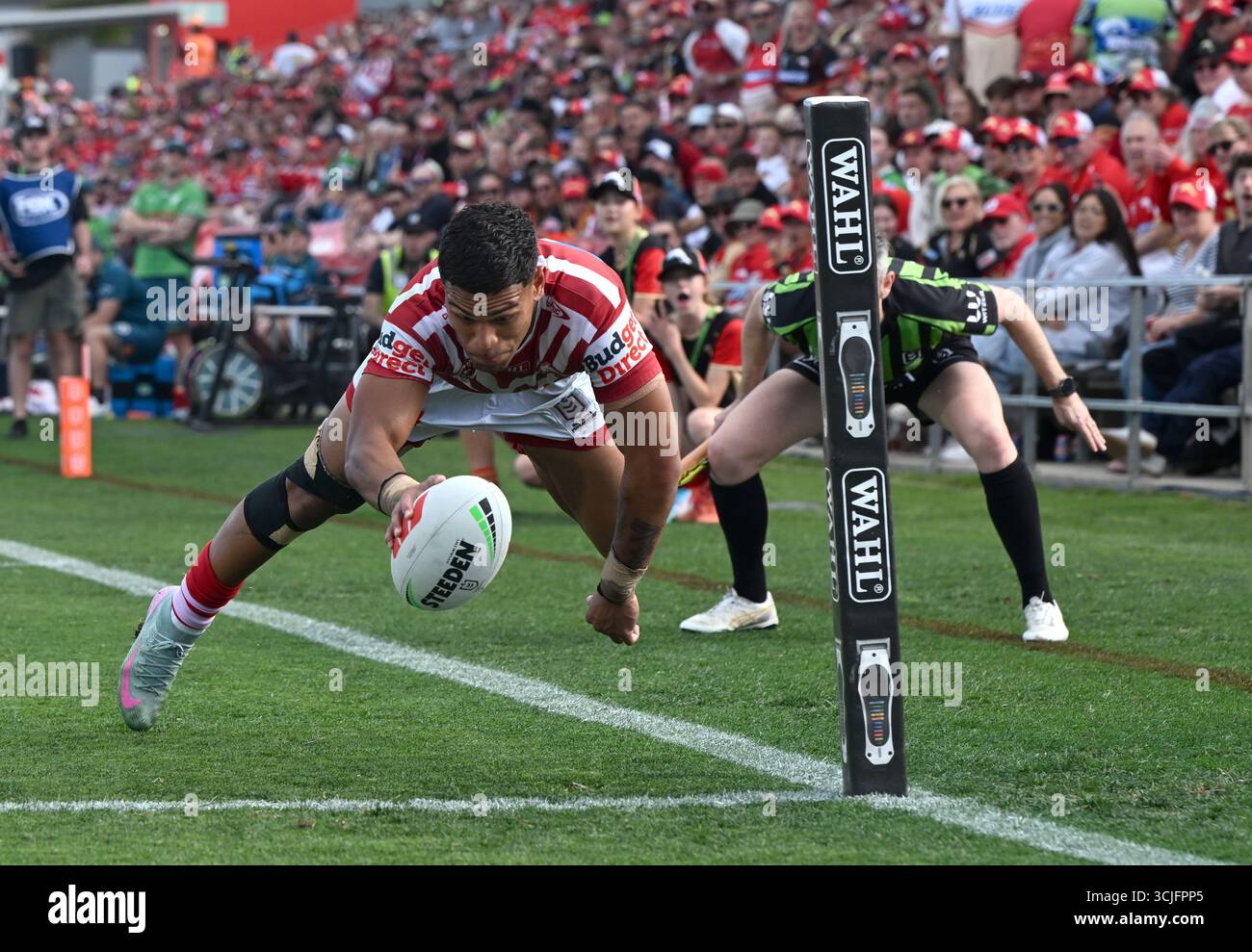 Tevita Naufahu of the Dolphins scores a try during the NRL Round 27 ...