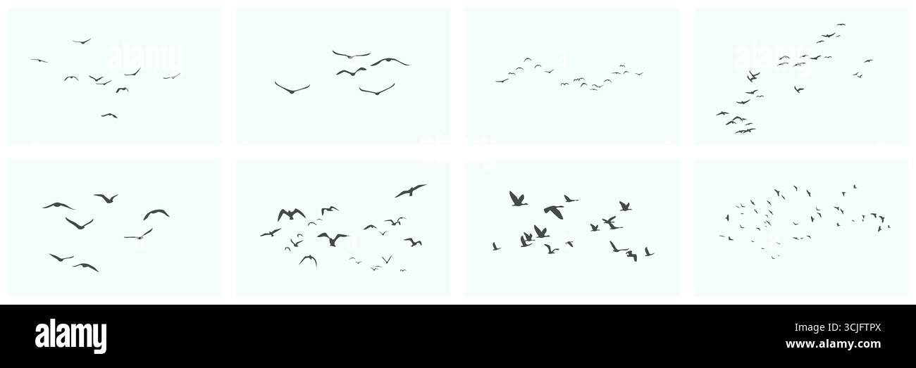 The swarm film Stock Vector Images - Alamy
