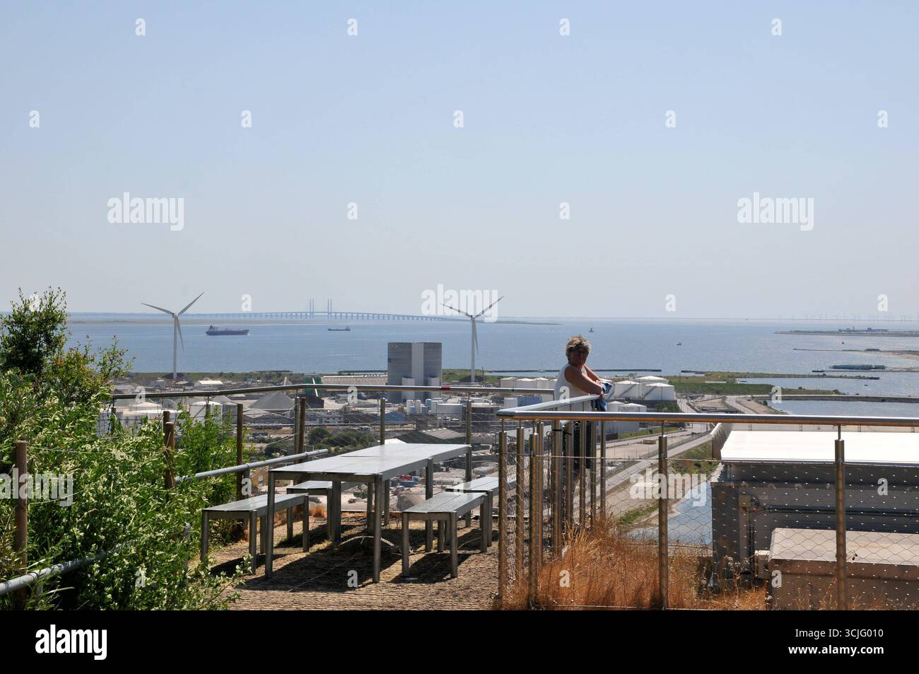 12 june 2023/ Danes and green enry wind tuirbines in danish shore in ...