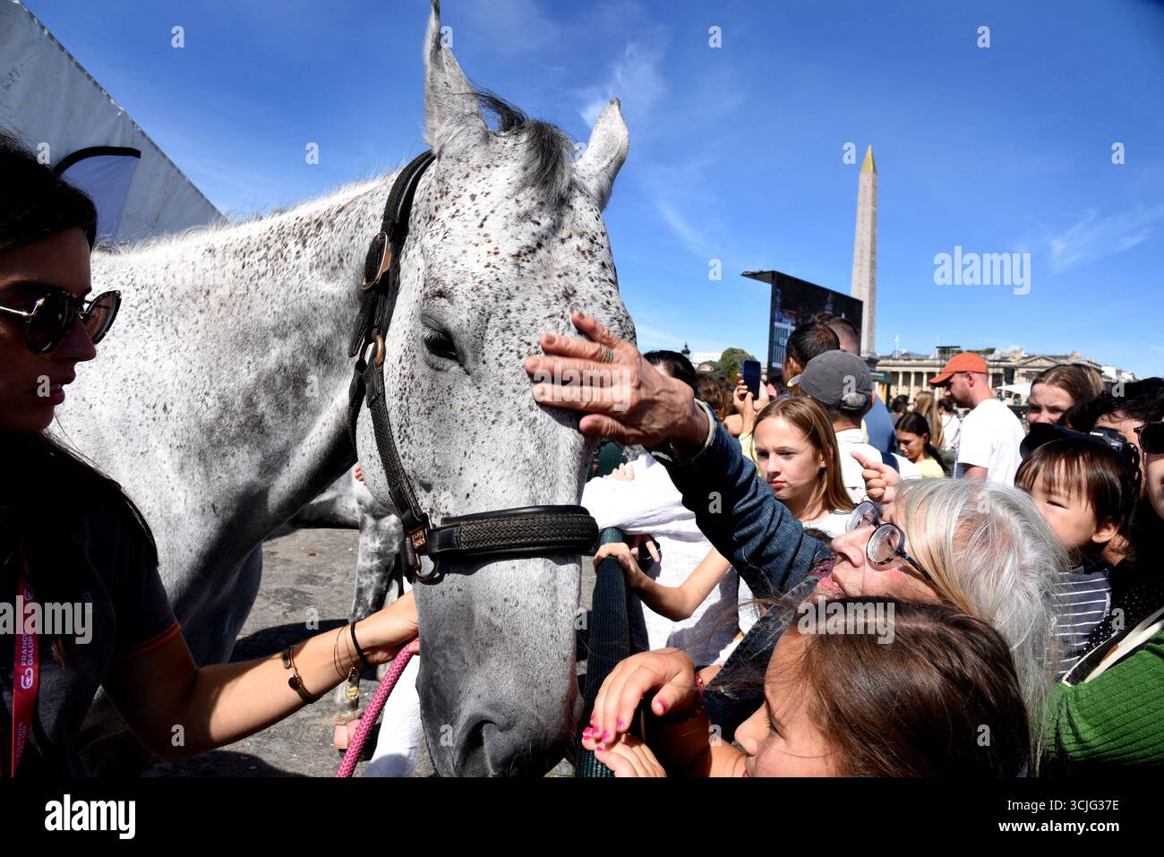 Horses In The City by France Galop at Place de la Concorde in Paris ...
