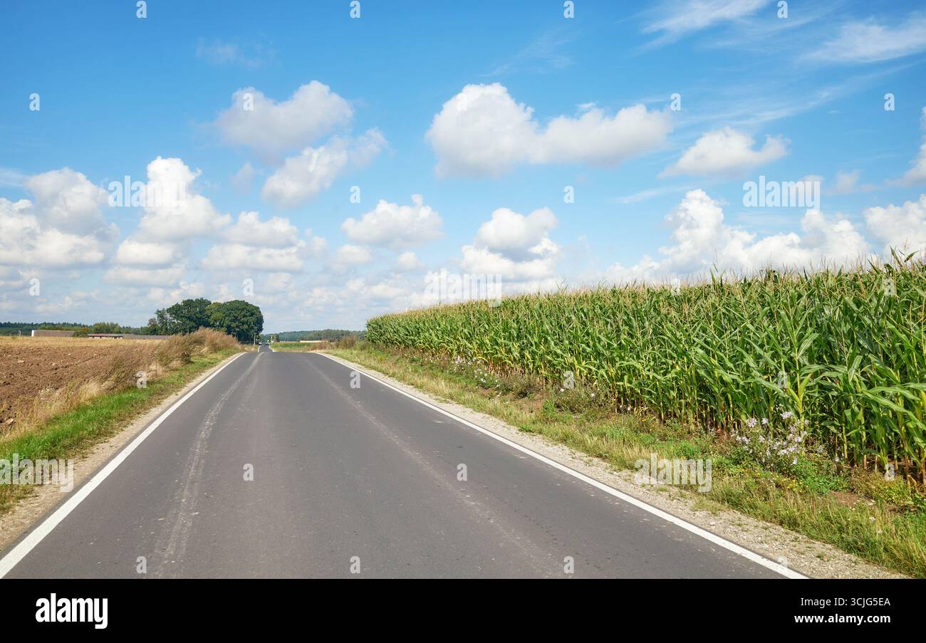 Among fields hi-res stock photography and images - Alamy