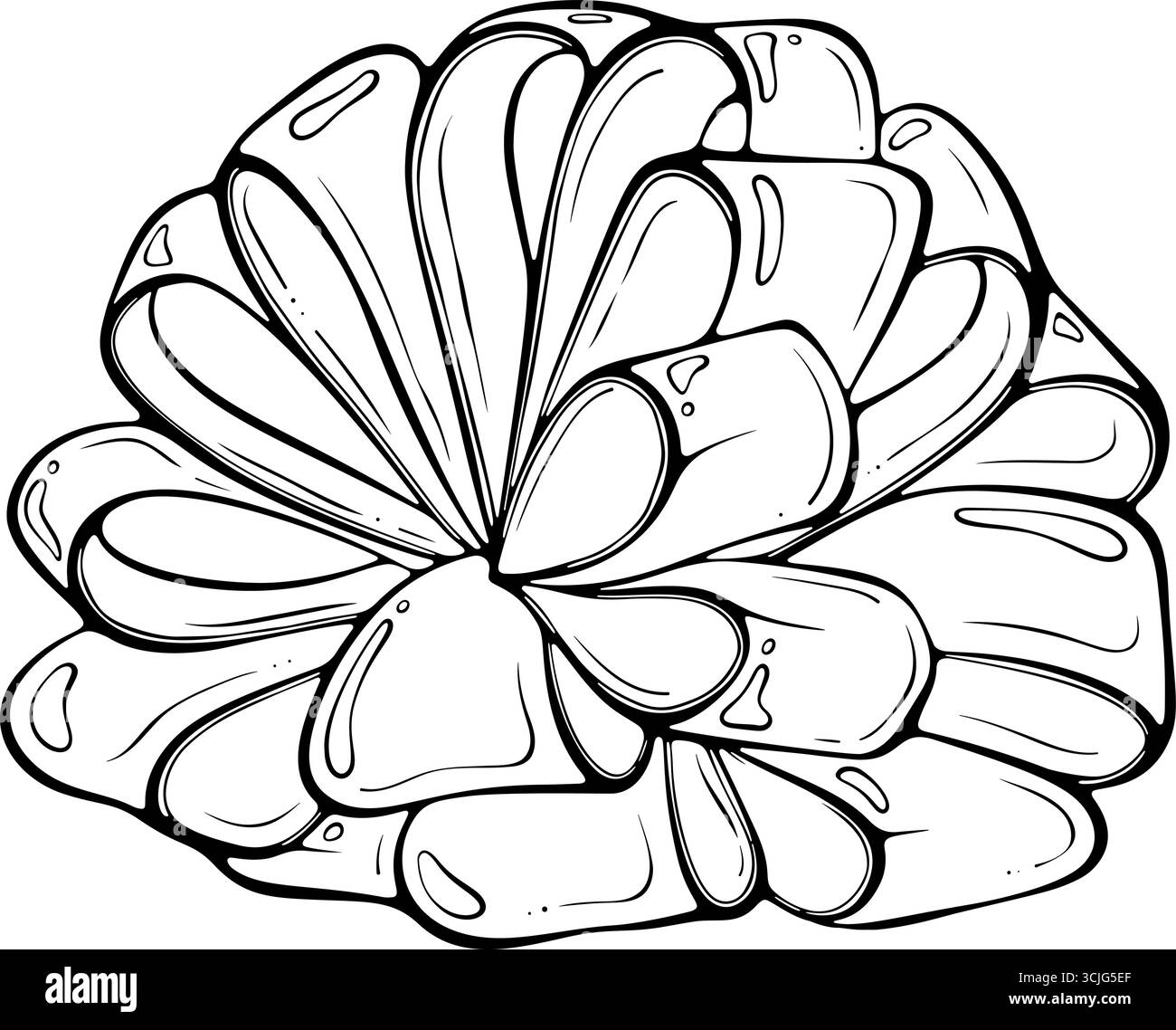 Large simple line art Black and White Stock Photos & Images - Alamy