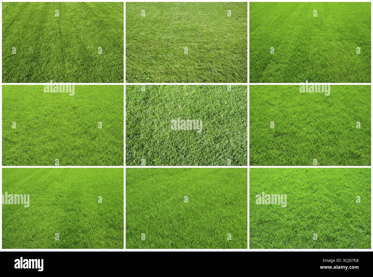 Sunlight farming Cut Out Stock Images & Pictures - Alamy