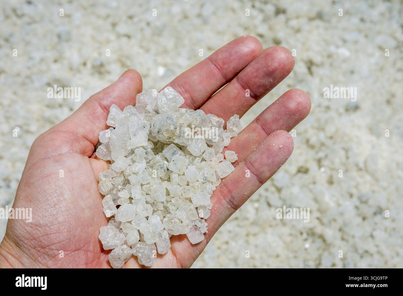 Holding big salt crystals in hand at Chaqia salt lake Stock Photo - Alamy