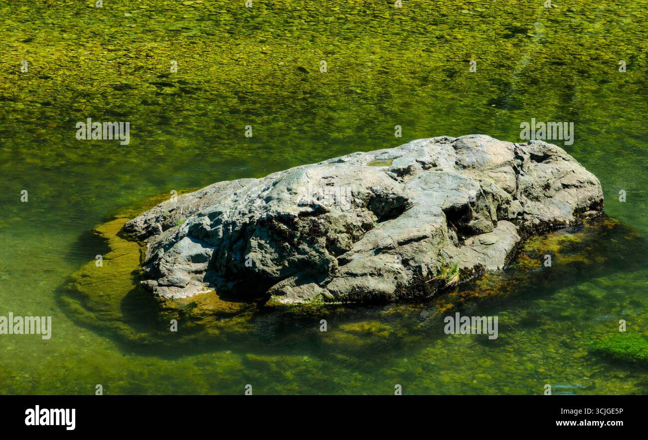Natural stillness hi-res stock photography and images - Alamy