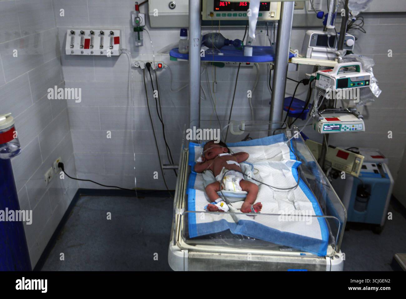 Newborn Palestinian baby Hamza al-Rubai receives medical care at Al ...