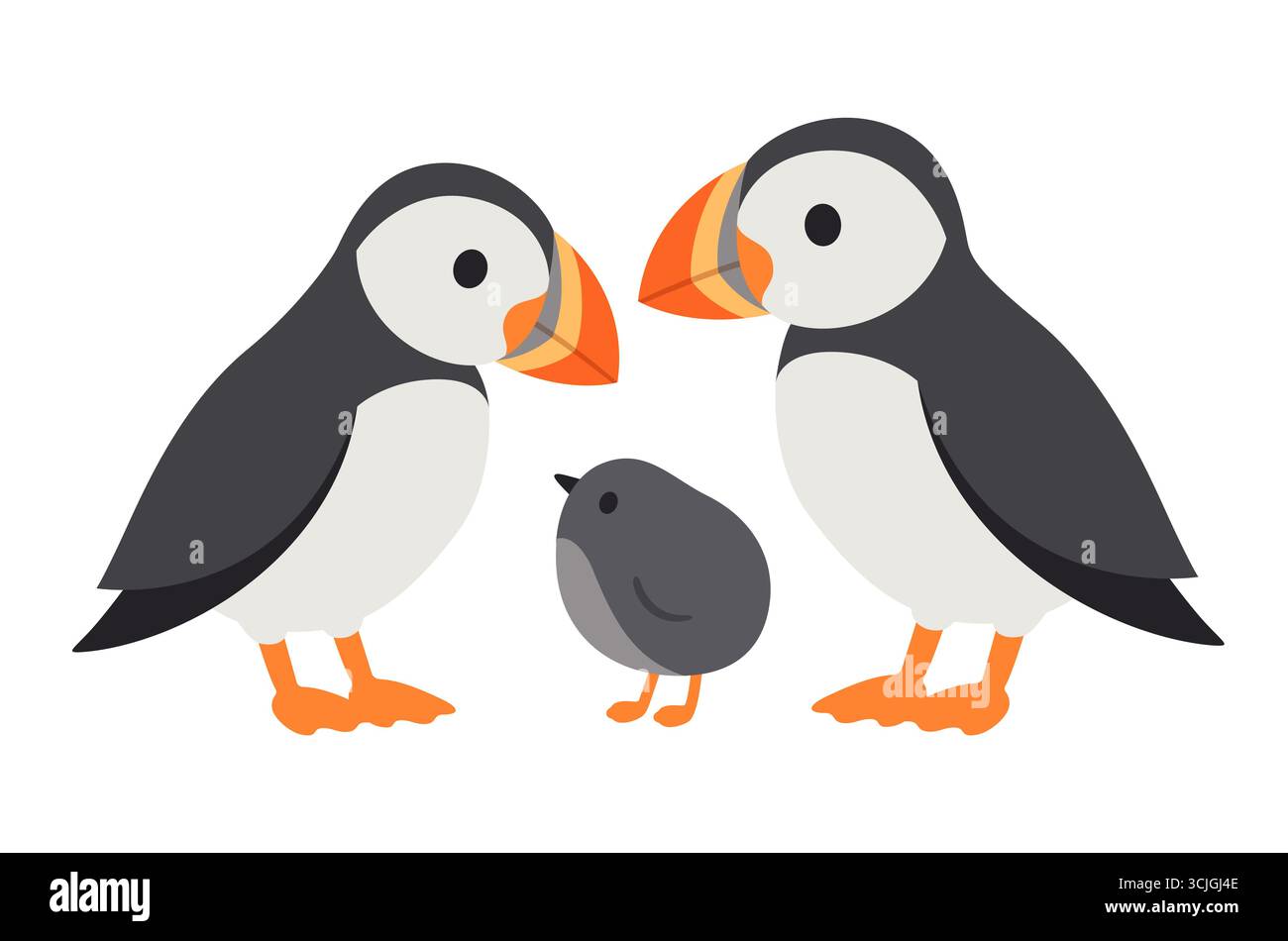 Puffins illustration Stock Vector Images - Alamy