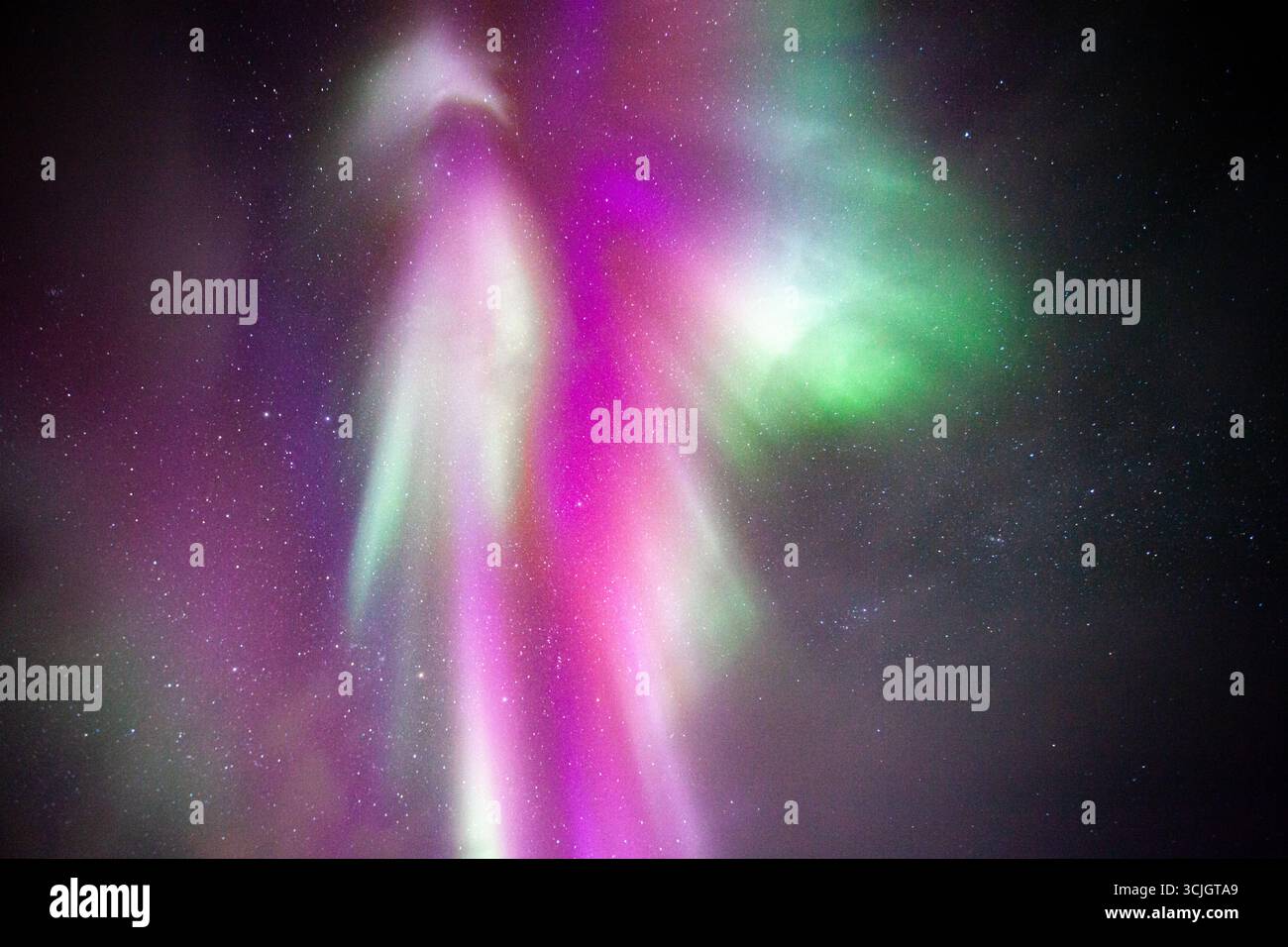The Northern Lights, aurora borealis, exploding in the night sky with ...