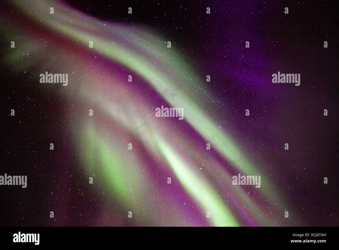 The Northern Lights, aurora borealis, exploding in the night sky with ...