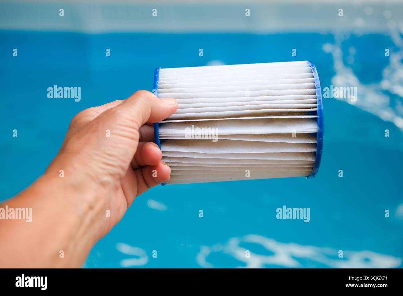Replacement Pool Filter Cartridge in a Woman's Hand on the Blue Family ...