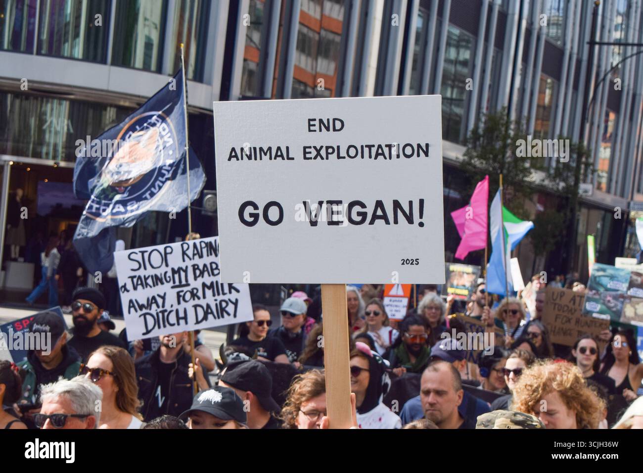 A protester holds a 'Go Vegan' placard during the Animal Rights March ...
