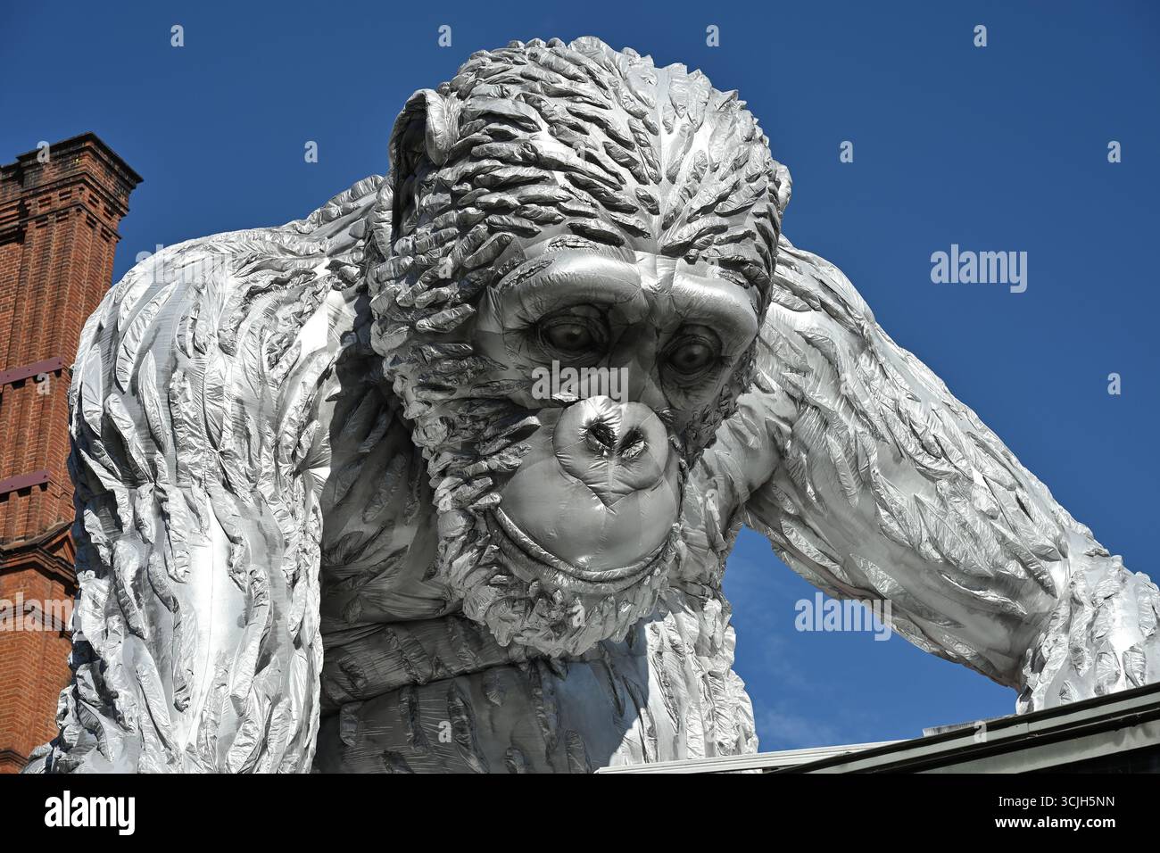 Great Ape inflatable sculpture by Lisa Roet at the Royal Geographical ...