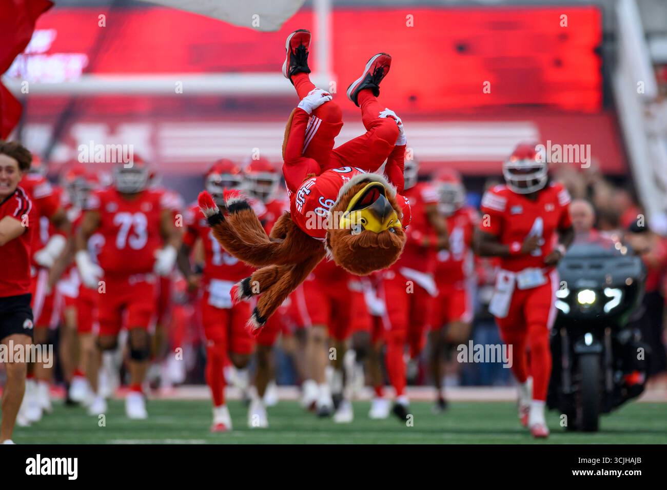 The University of Utah mascot Swoop does a backflip as the team runs ...
