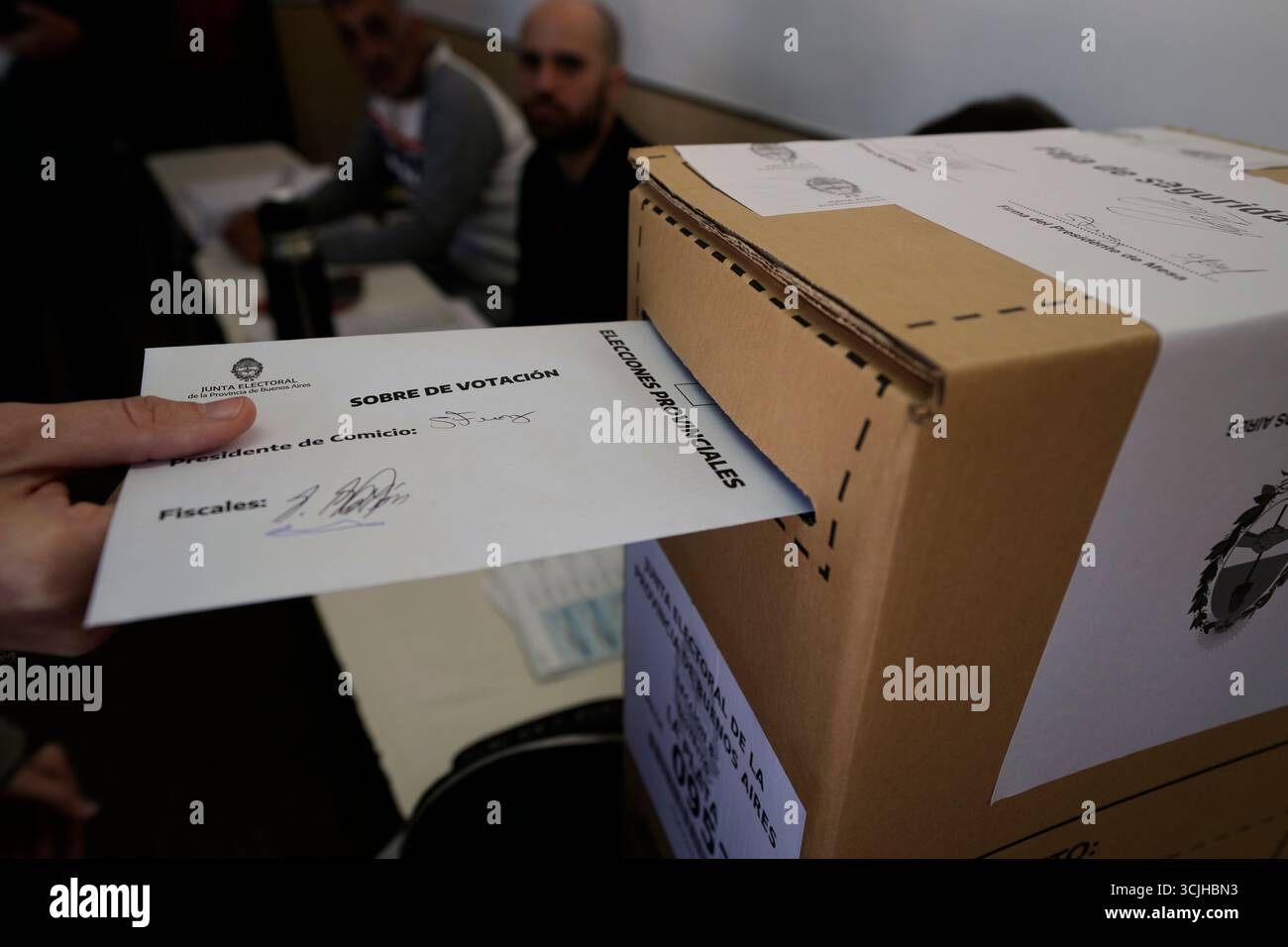 A voter casts their ballot during legislative provincial elections in ...