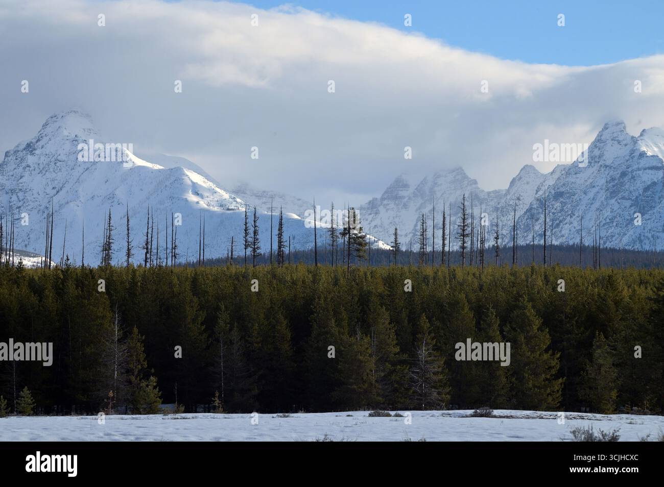 The Livingston Range and Big Prairie on the west side of Glacier ...