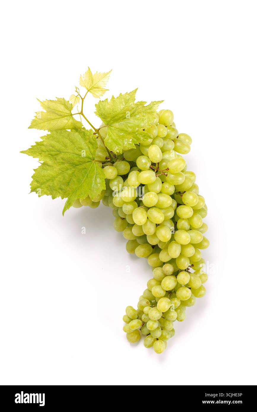 Fresh grapes lying on a white background, simple and clean food concept ...