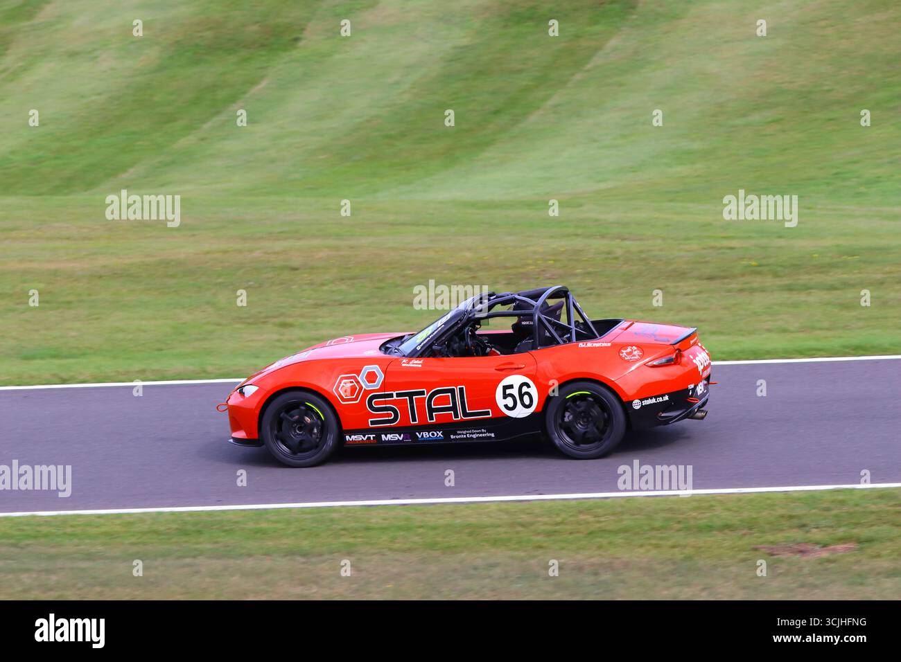 CADWELL PARK MSV CULT CLASSICS AND MSVT RACING Stock Photo - Alamy