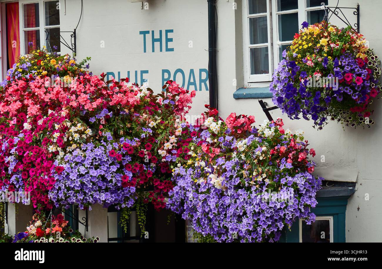Traditional english pub flowers hi-res stock photography and images - Alamy