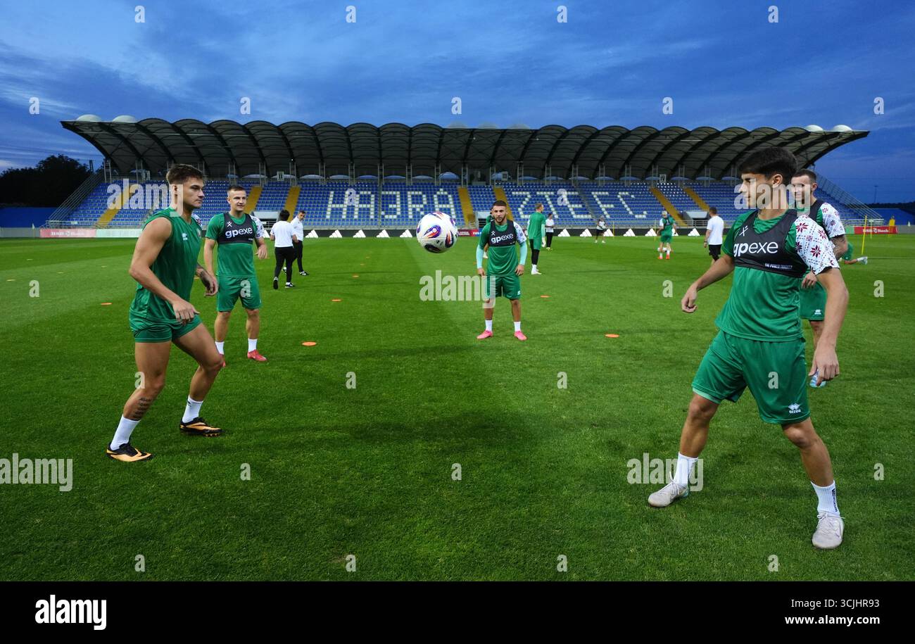 Belarus' Trofim Melnichenko (left) during a training session at the ZTE ...