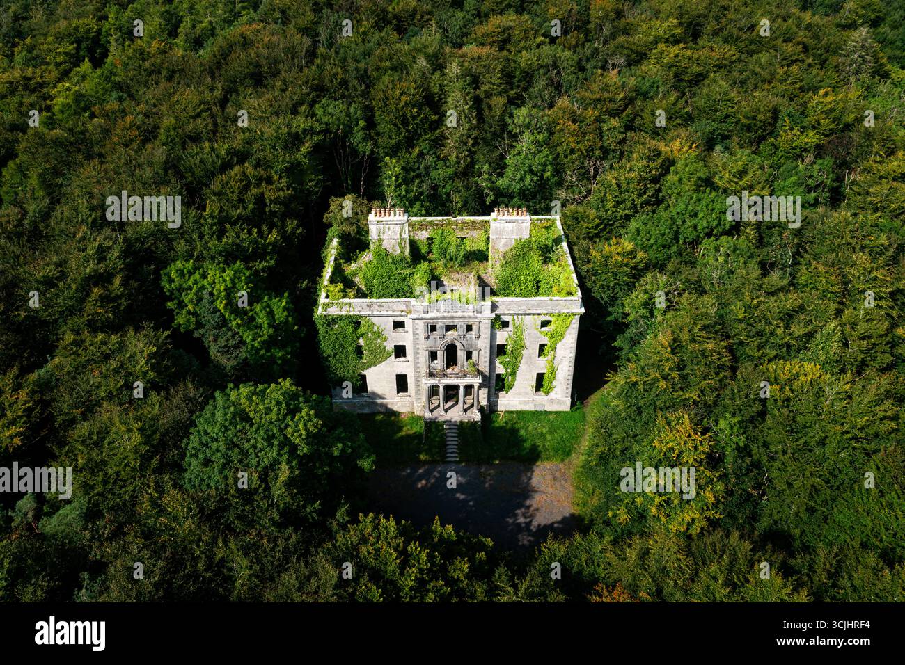 Aerial view of the Ivy-Covered Moore Hall Historic Ruins Surrounded by ...