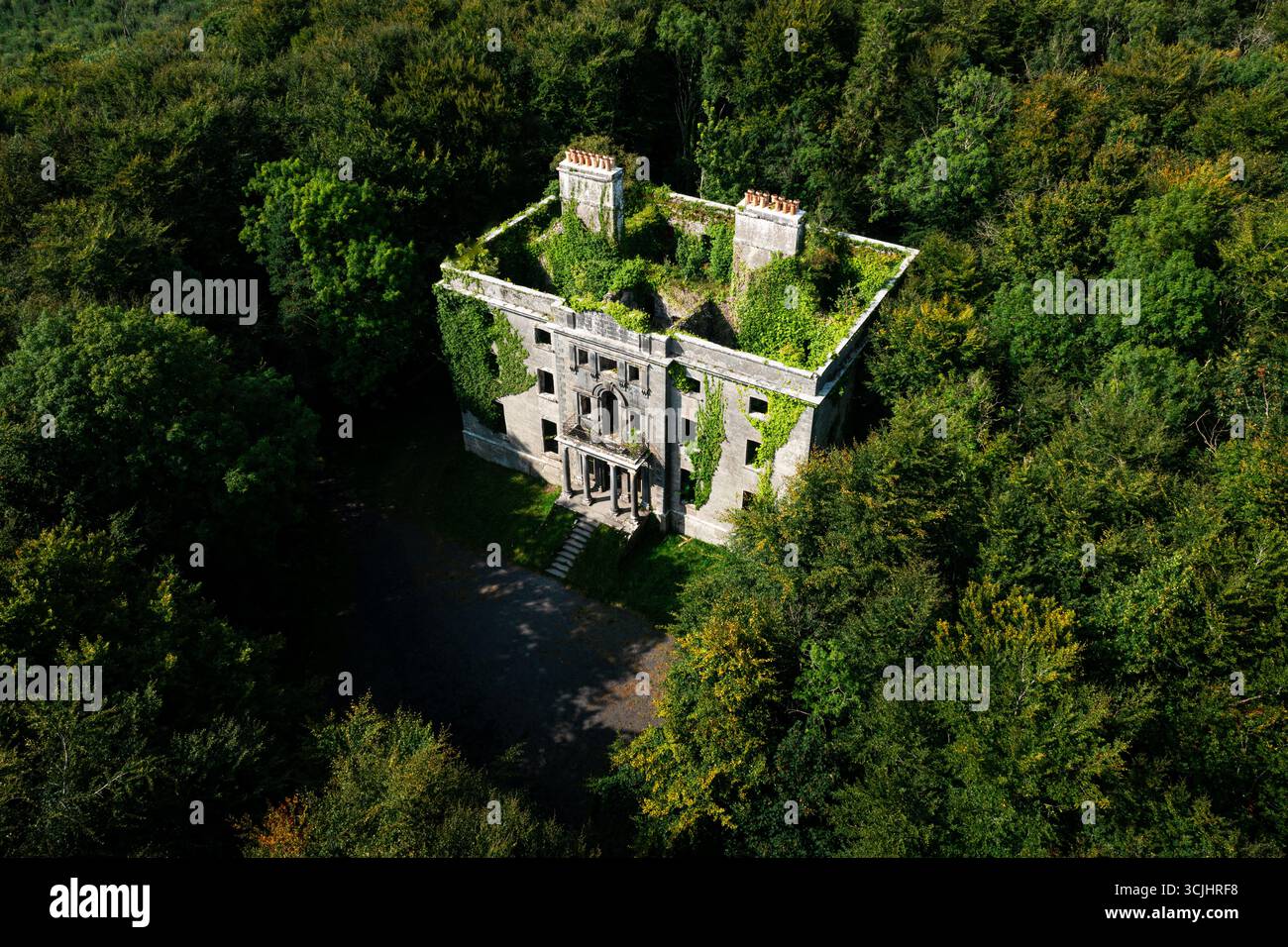 Aerial view of the Ivy-Covered Moore Hall Historic Ruins Surrounded by ...