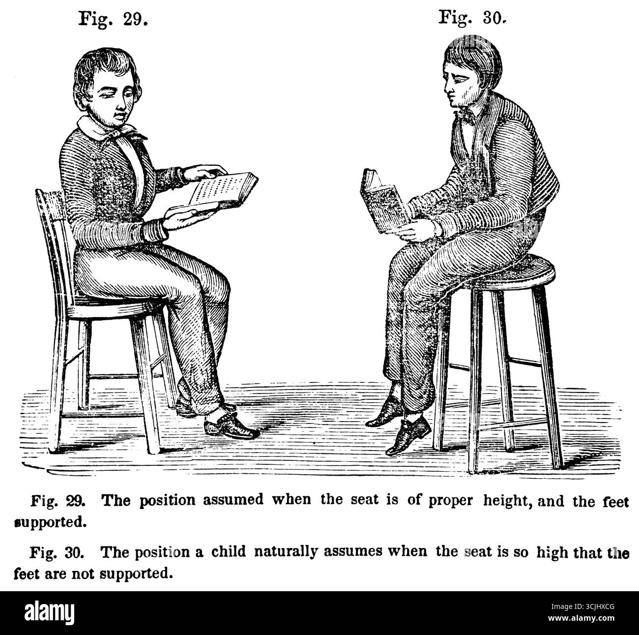 Anatomy, physiology, the correct sitting position, the correct height ...