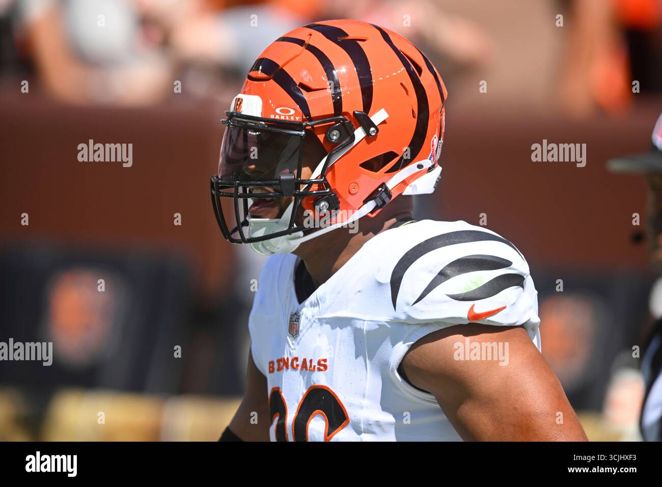 Cincinnati Bengals tight end Noah Fant reacts after catching a ...