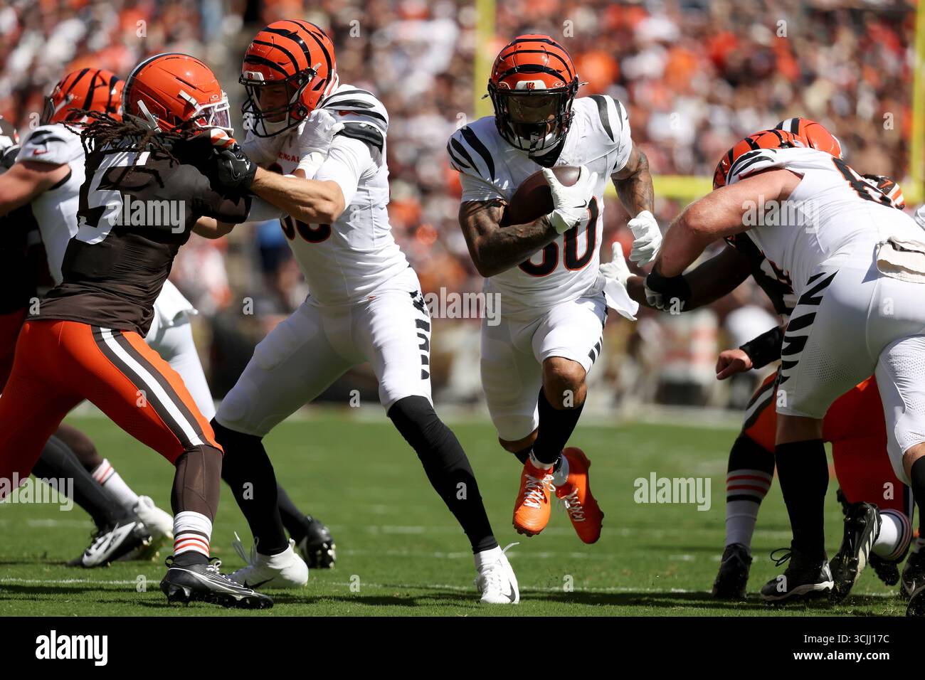 Cincinnati Bengals running back Chase Brown (30) runs with the ball ...