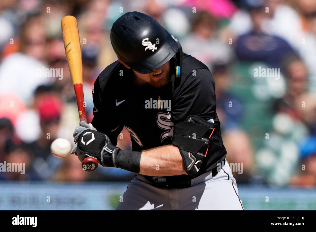 Chicago White Sox's Curtis Mead reacts after being hit by a pitch from ...
