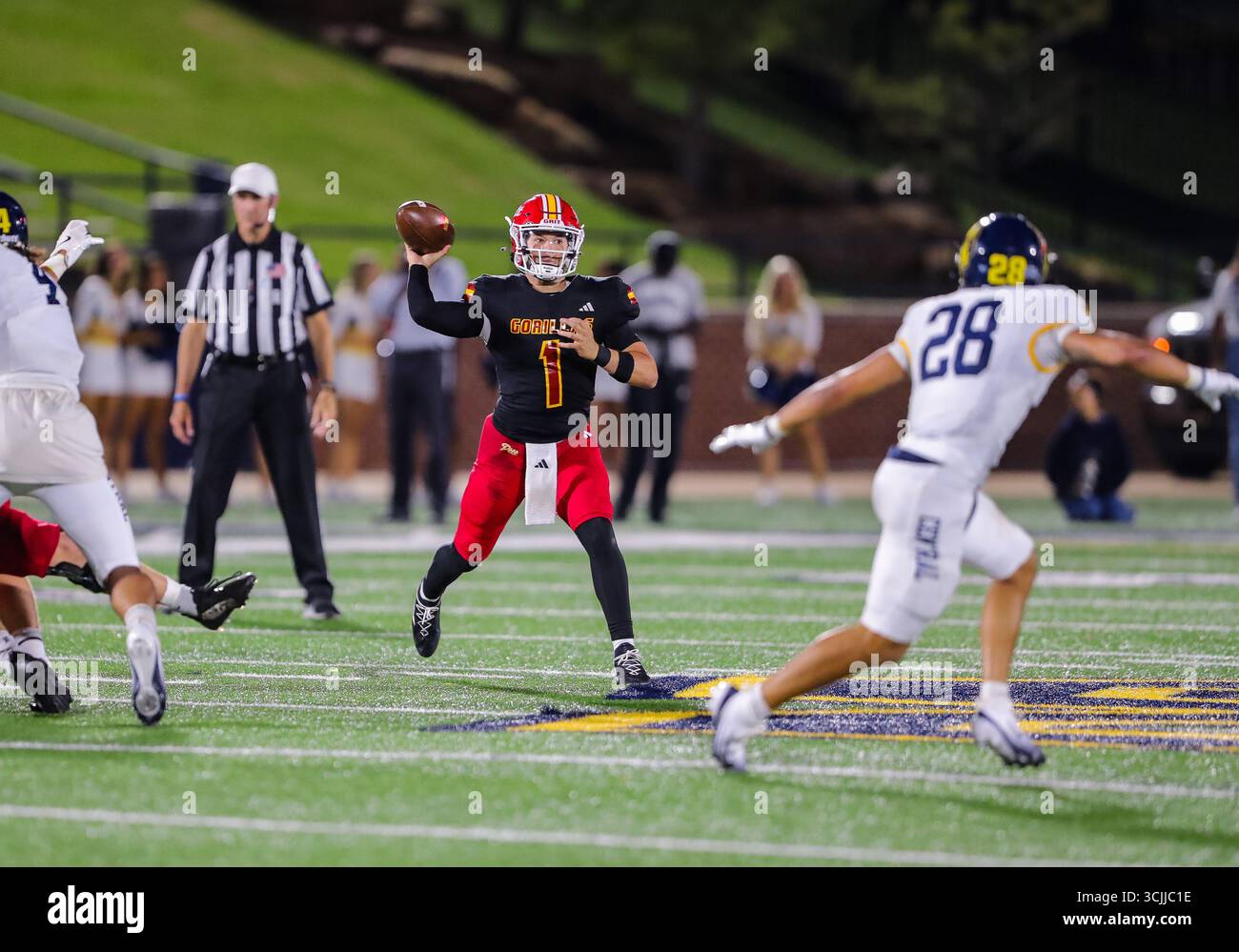 September 06, 2025:.Pittsburgh State University Gorillas QB Jackson ...