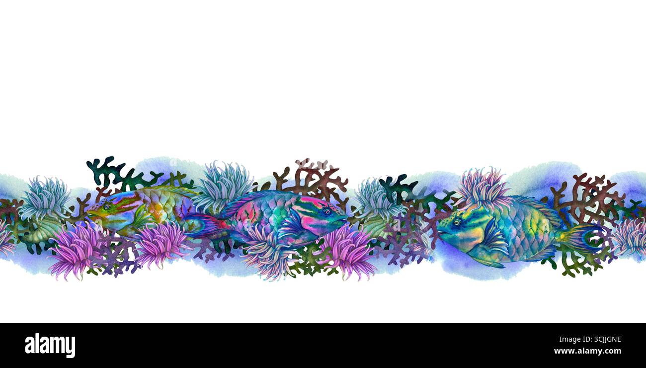 Rainbow tropical parrotfish among colorful corals and anemones ...