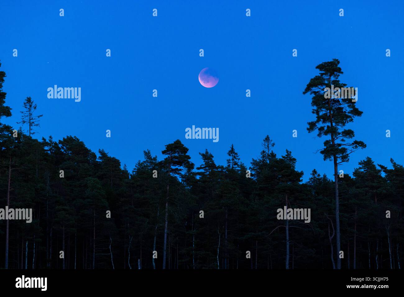 Totale Mondfinsternis - Blutmond. Schweden, Västergötland in der Nähe ...