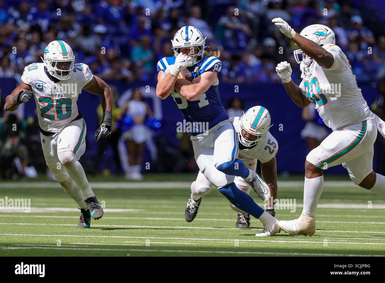 Tyler warren colts hi-res stock photography and images - Alamy