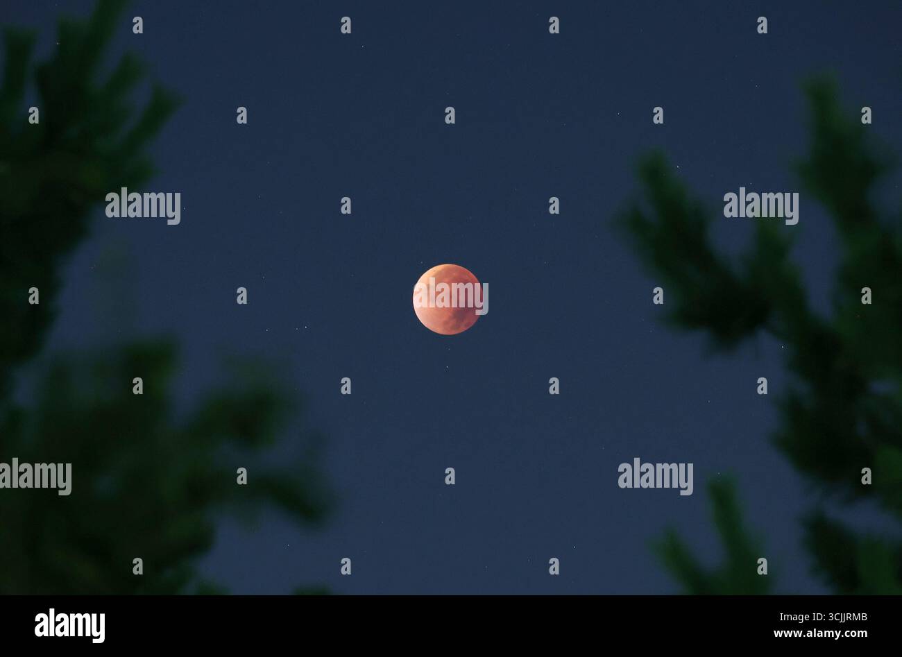 September 8, 2025, Tokyo, Japan - A total lunar eclipse is observed in ...