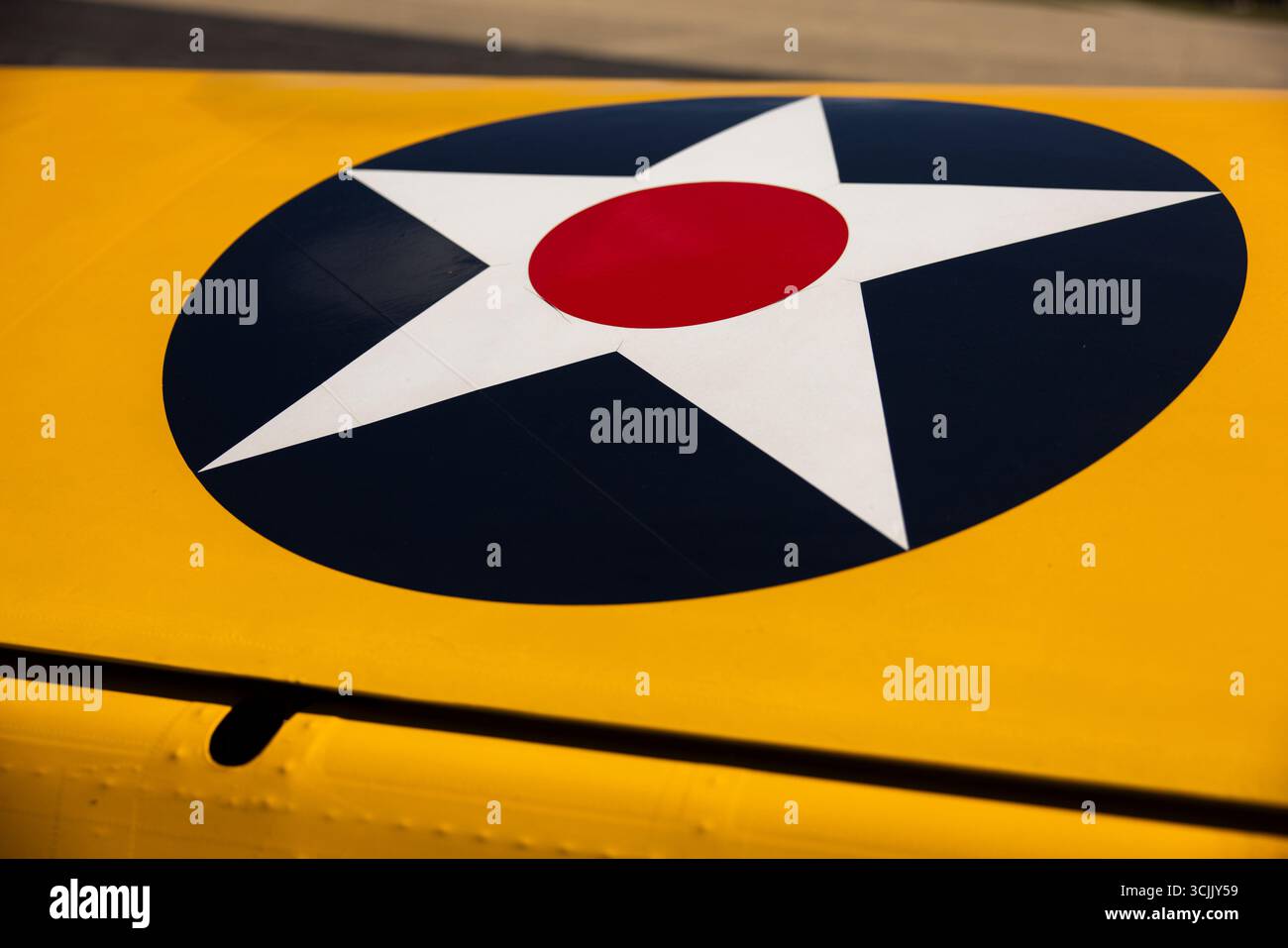 BLOOMINGTON, INDIANA – SEPTEMBER 7, 2025: A wing detail with the pre ...