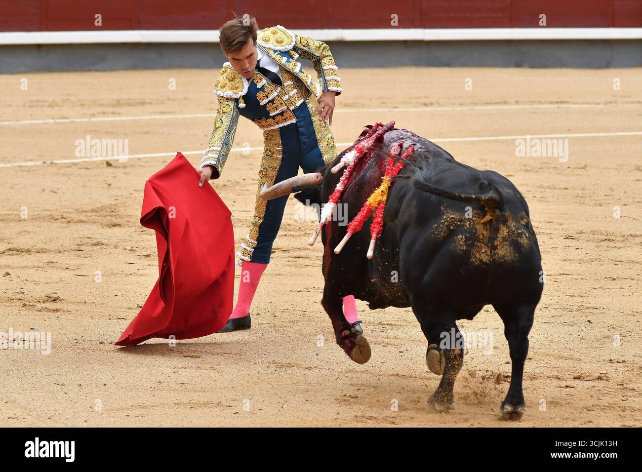 Bullfighter Jesús Ángel Olivas during a bullfight at the Las Ventas ...