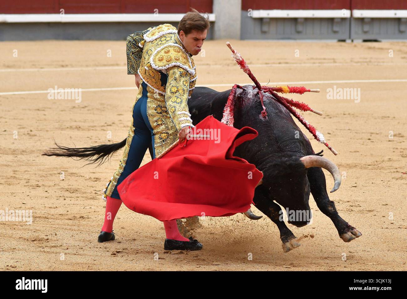 Bullfighter Jesús Ángel Olivas during a bullfight at the Las Ventas ...