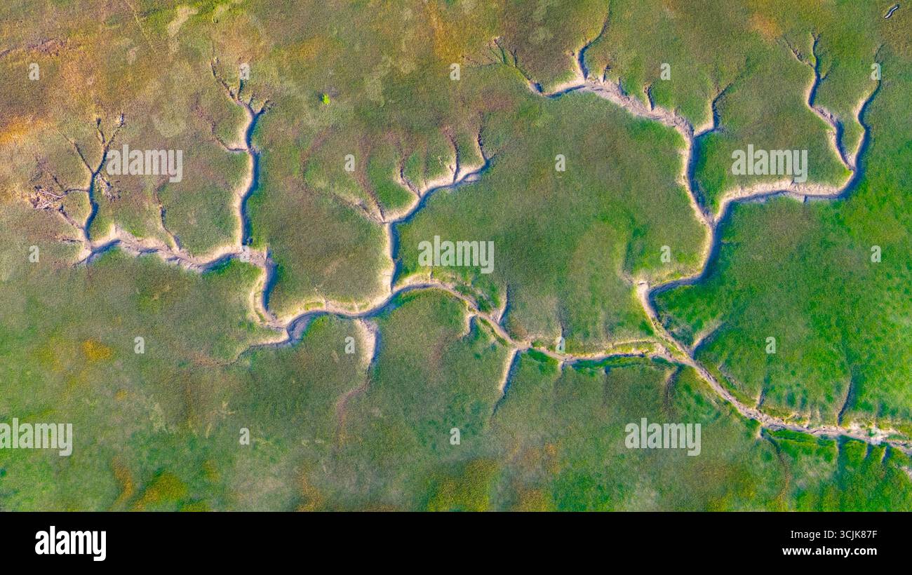 HAINING, CHINA - SEPTEMBER 7, 2025 - The natural landscape of "tidal ...