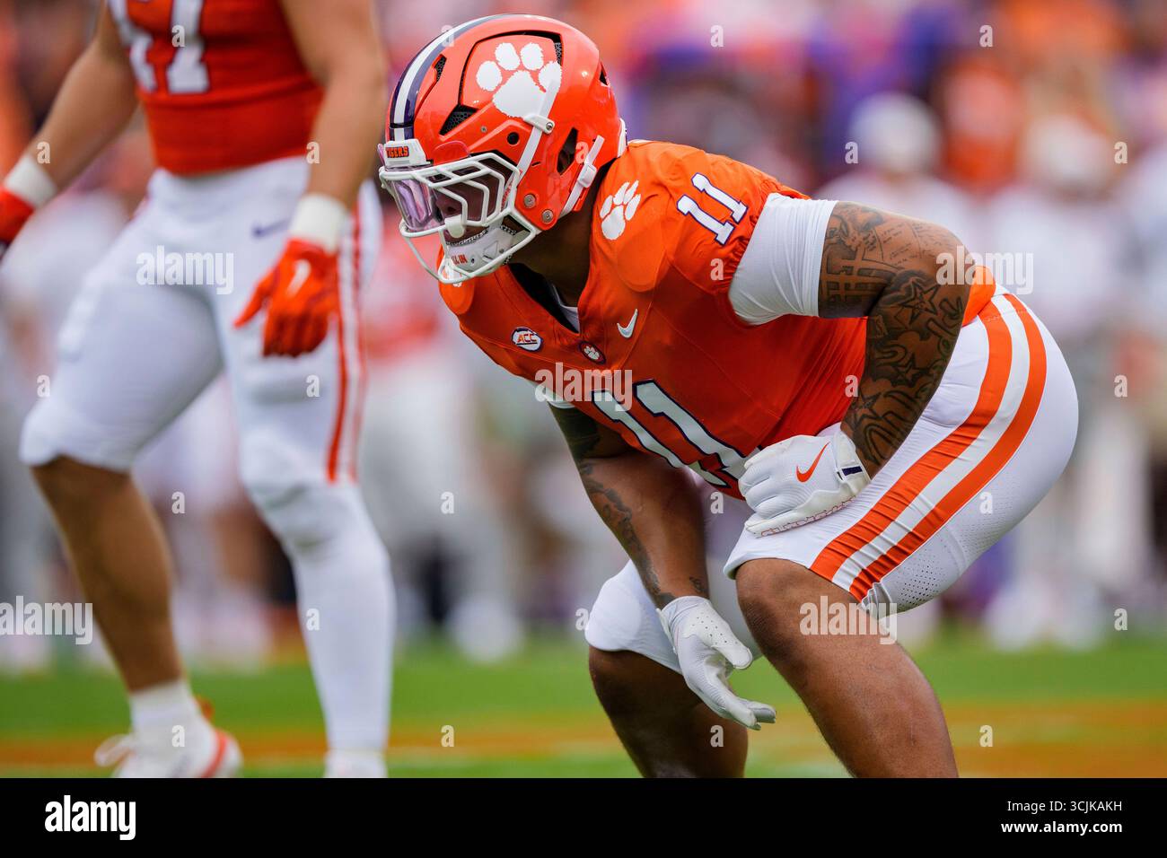 Clemson defensive tackle Peter Woods (11) lines up during an NCAA ...
