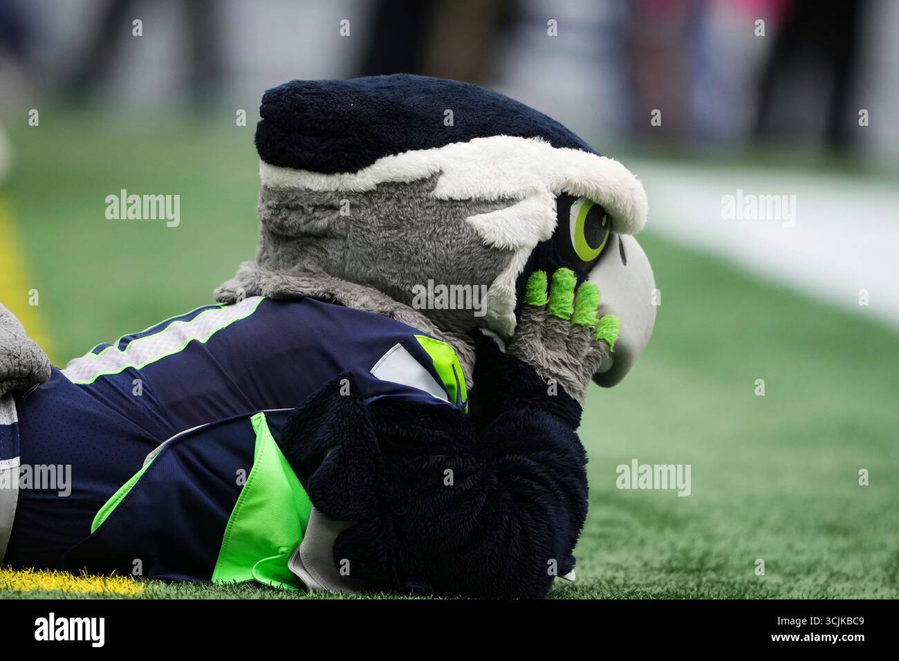 Seattle Seahawks mascot Blitz looks on during the second half of an NFL ...
