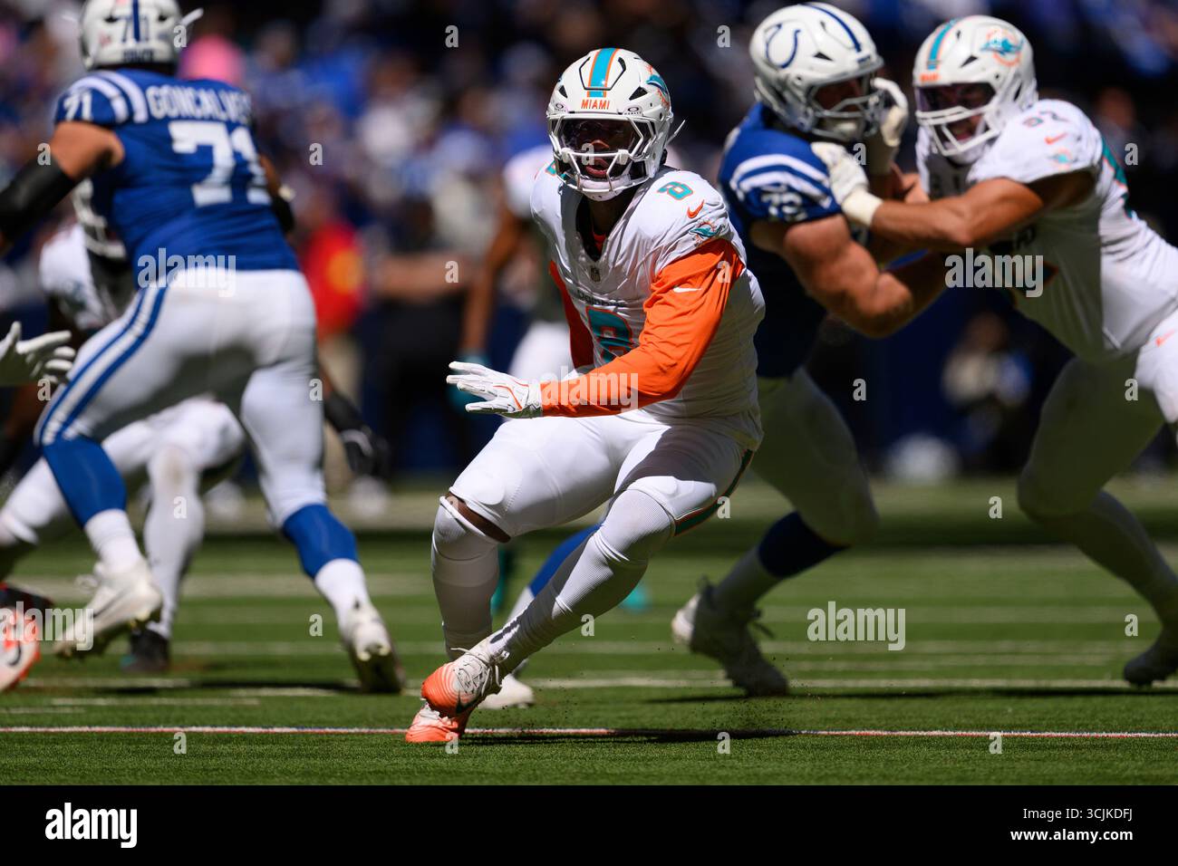 Miami Dolphins linebacker Matthew Judon (8) rushes into the backfield ...