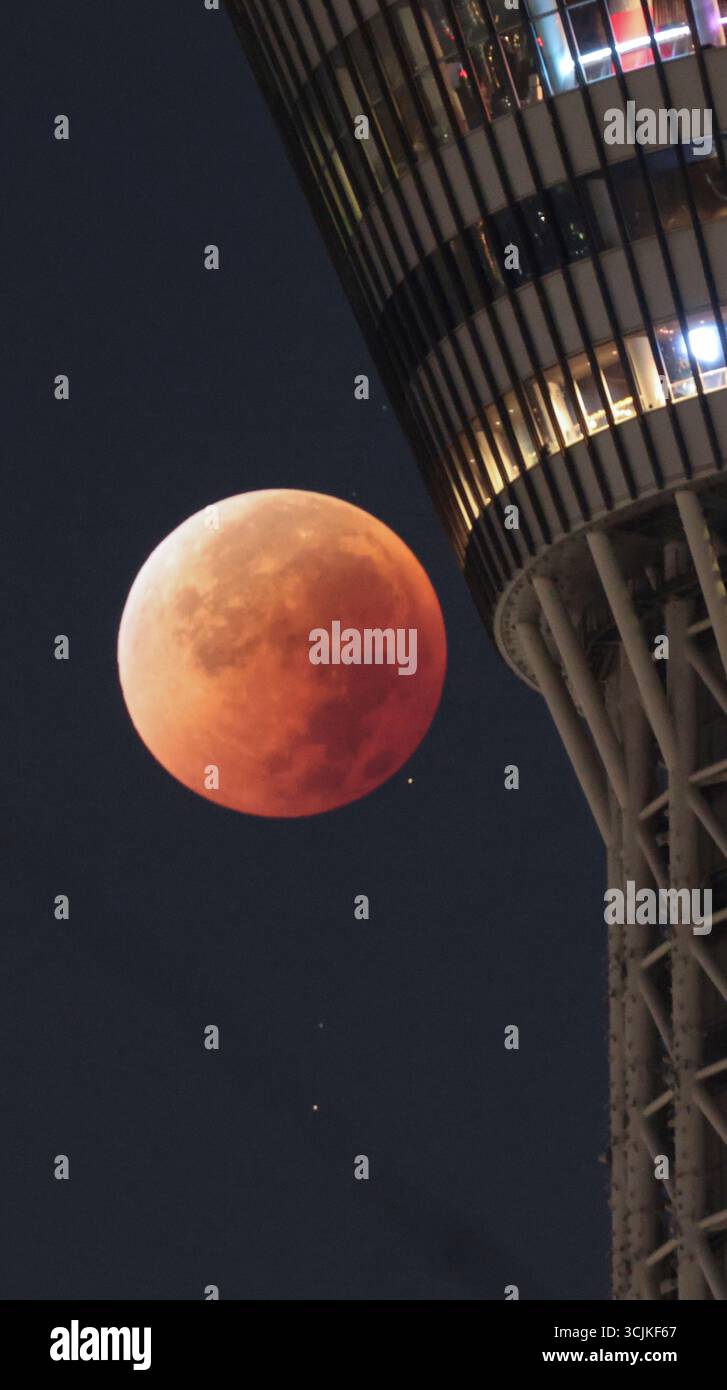 A total lunar eclipse is observed beside the Tokyo Skytree in Tokyo on ...
