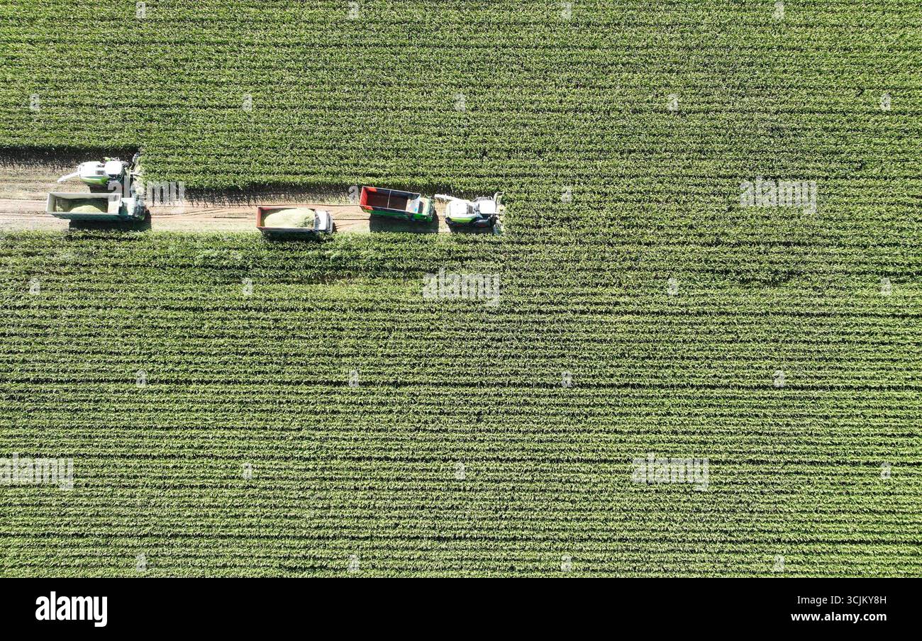 **CHINESE MAINLAND, HONG KONG, MACAU AND TAIWAN OUT** Aerial photo ...