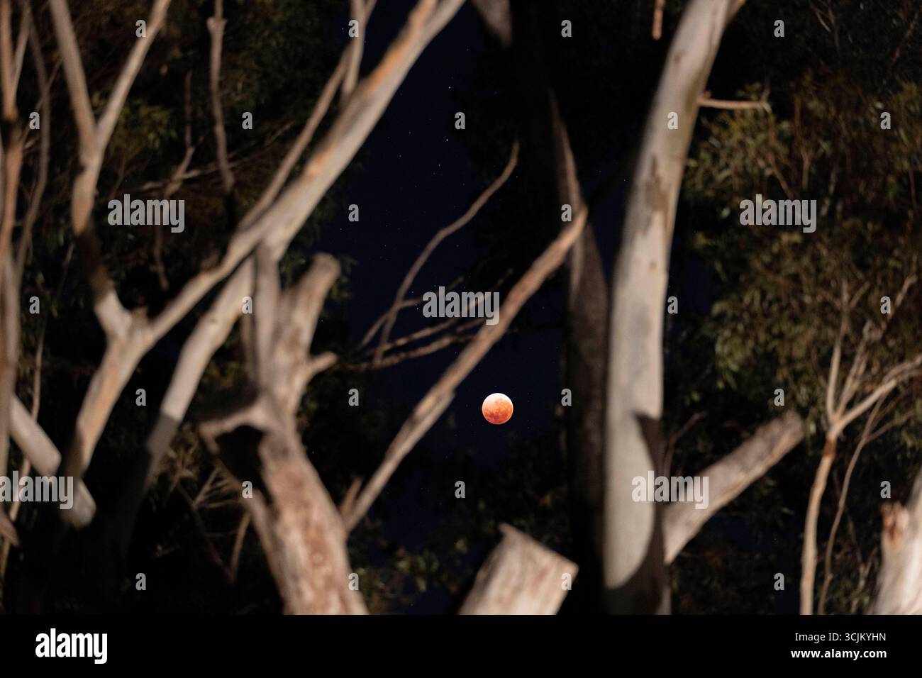 A total lunar eclipse is seen over Victoria, turning the Moon a deep ...