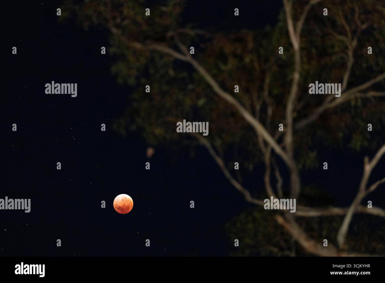 A total lunar eclipse is seen over Victoria, turning the Moon a deep ...