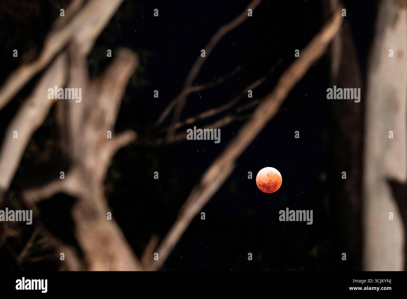 A total lunar eclipse is seen over Victoria, turning the Moon a deep ...