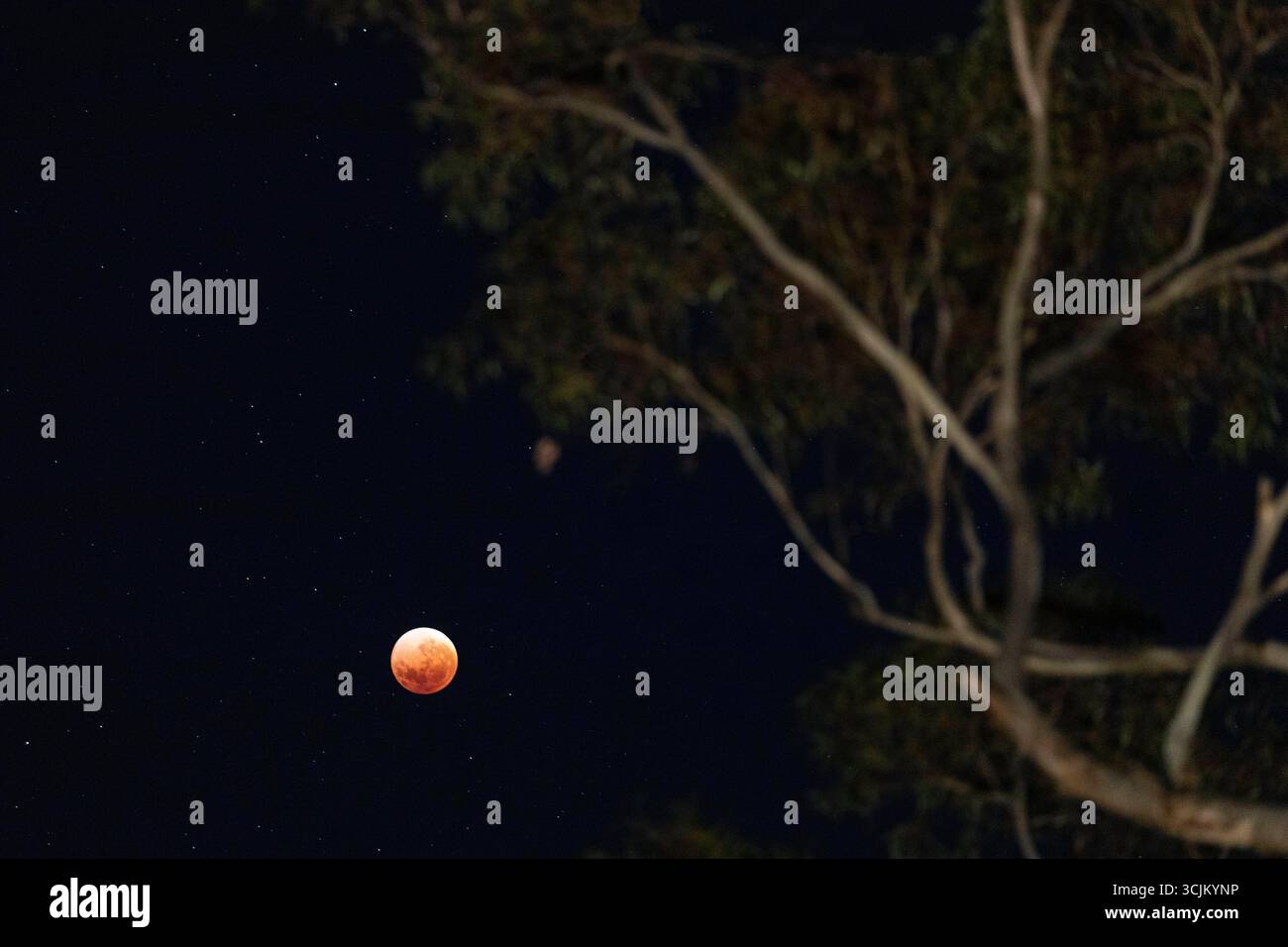 A total lunar eclipse is seen over Victoria, turning the Moon a deep ...