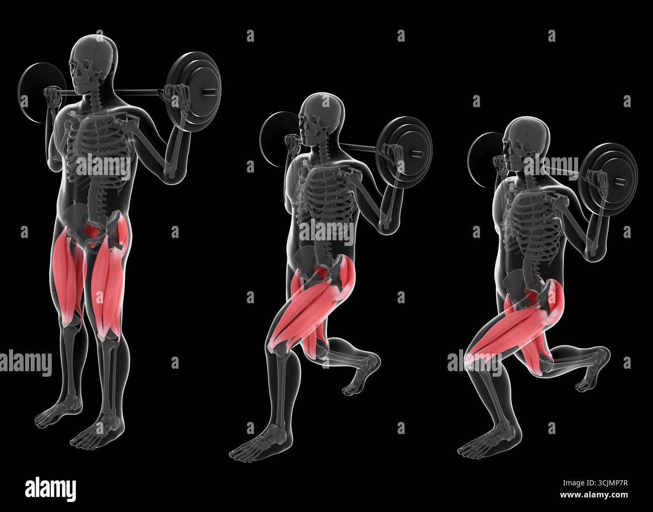 This 3d illustration shows the positions sequence of an xray man ...