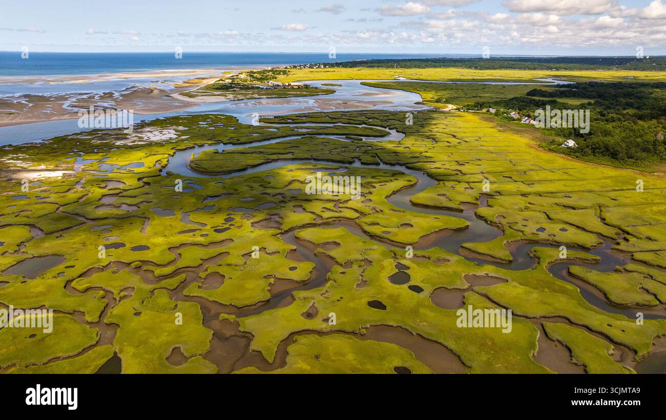 Aerial view of winding waterways carve through vibrant green marshes ...