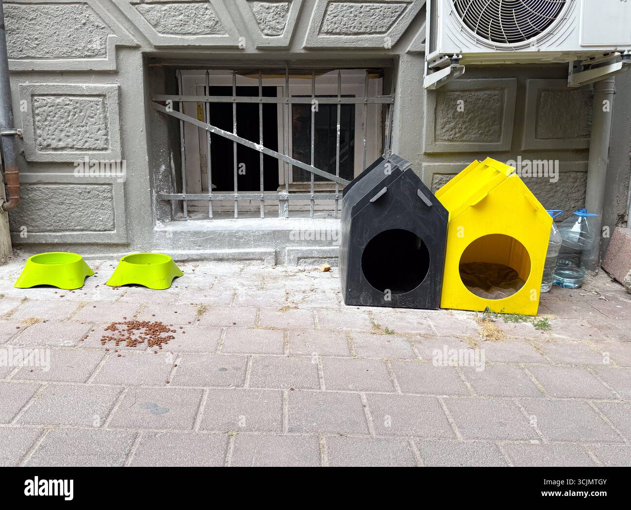 Black and yellow cat shelters placed on the street. Urban compassion ...